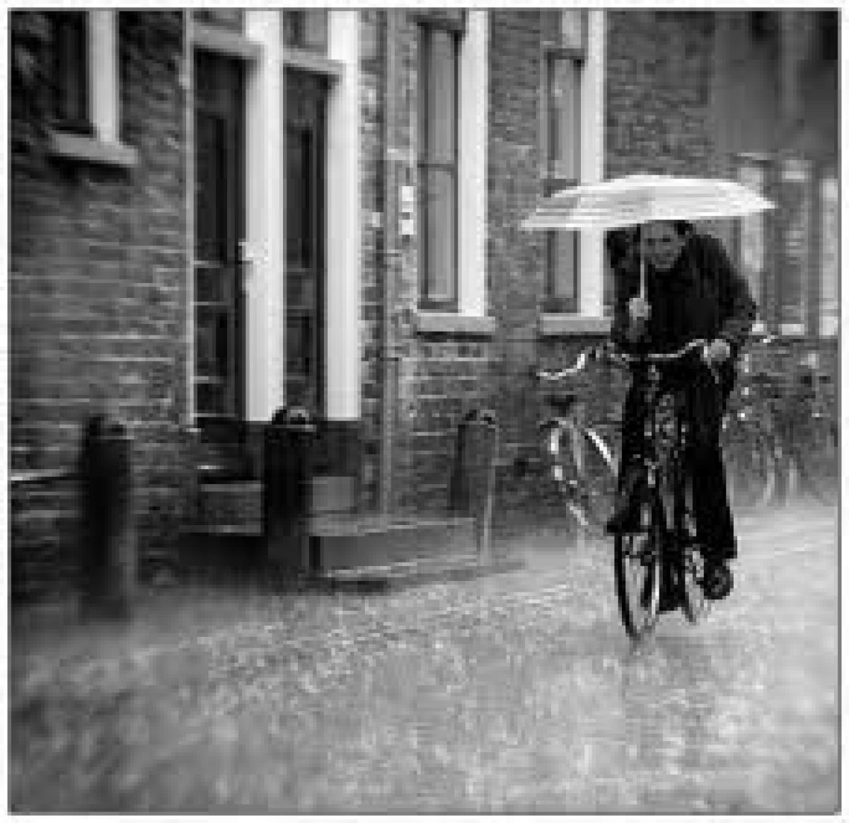 Riding in the Rain | Bicycle Safety - Maya Cycle